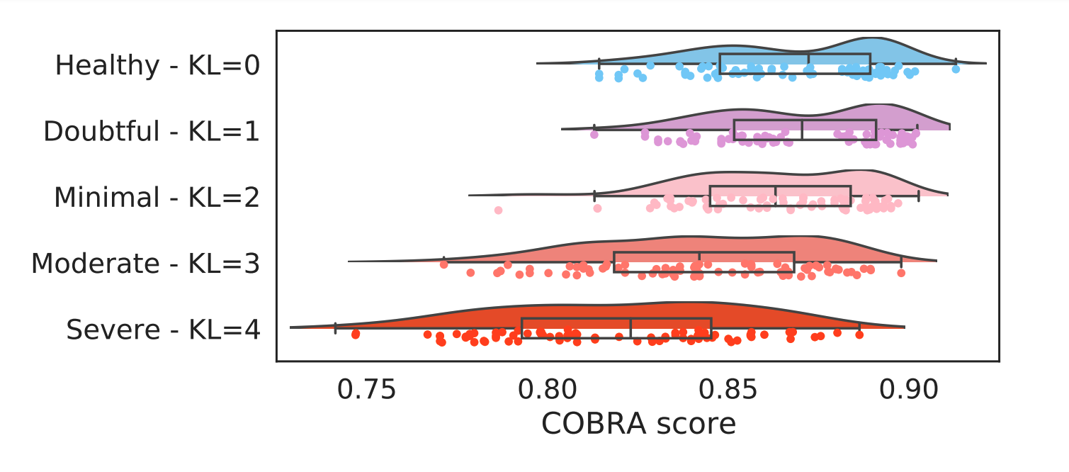 COBRA | The official repository for “Quantifying Impairment and Disease Severity Using AI Models ...